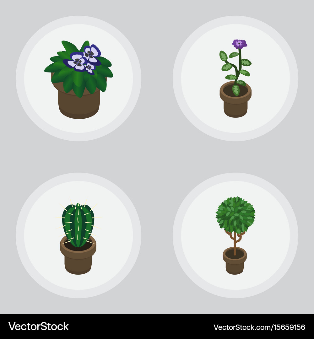 Isometric flower set tree flower peyote and Vector Image