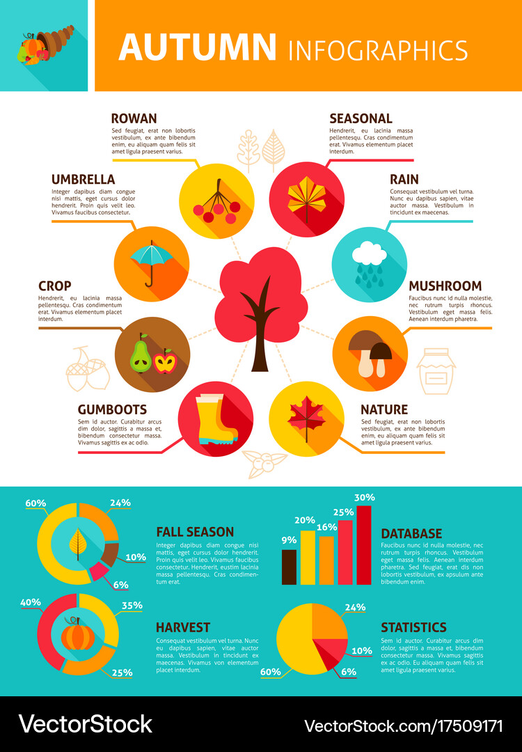 Autumn season infographics Royalty Free Vector Image
