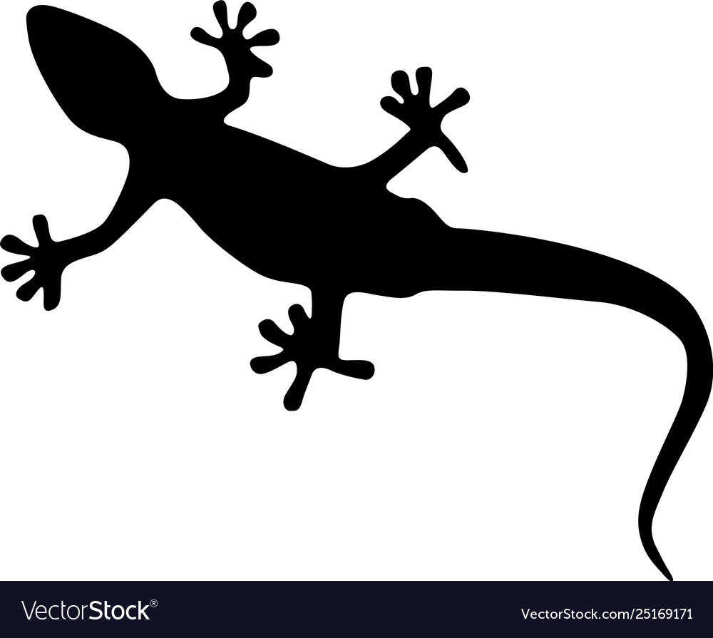 Gecko eps Royalty Free Vector Image - VectorStock