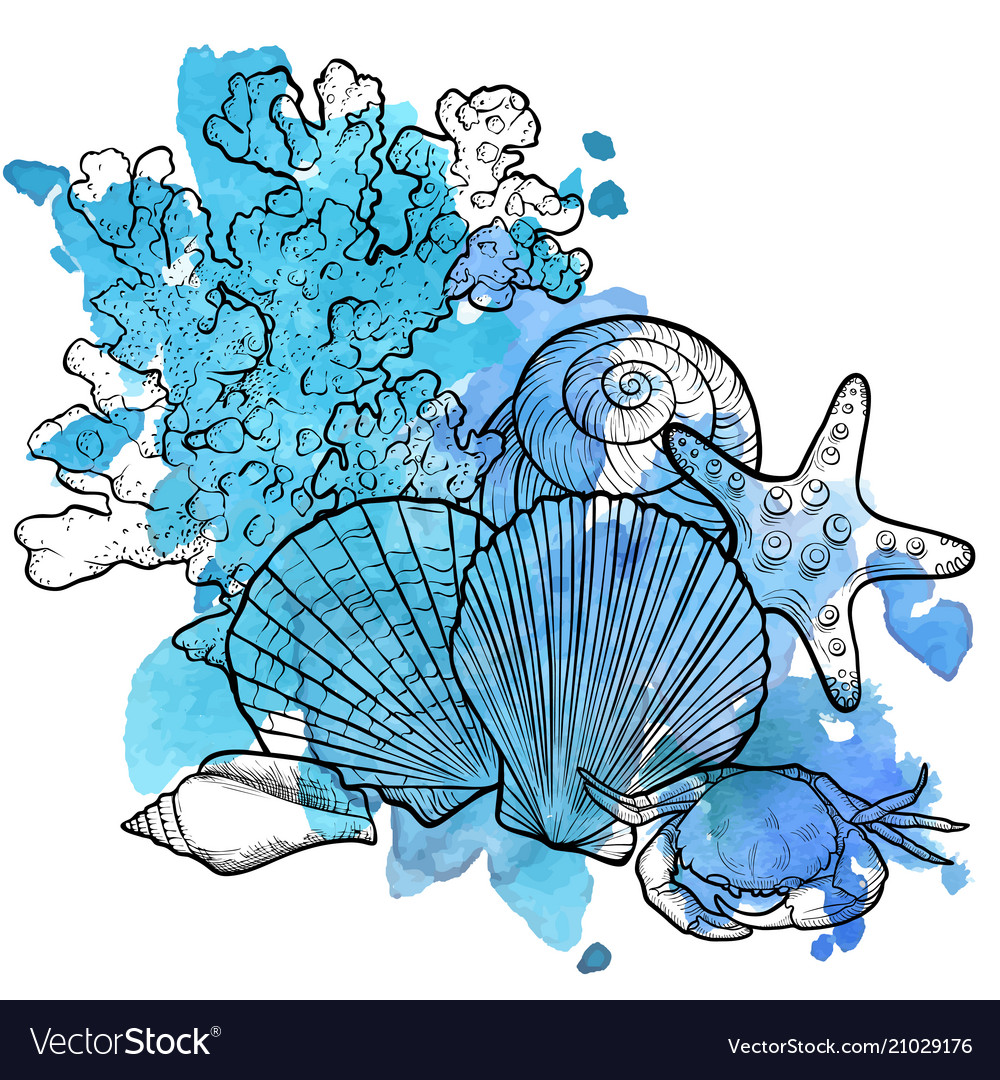 Background with seashells Royalty Free Vector Image