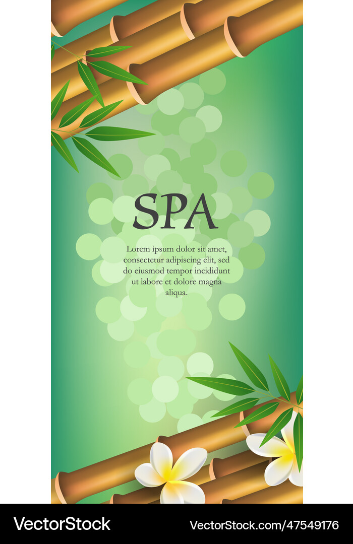 Spa lettering flowers and bamboo Royalty Free Vector Image