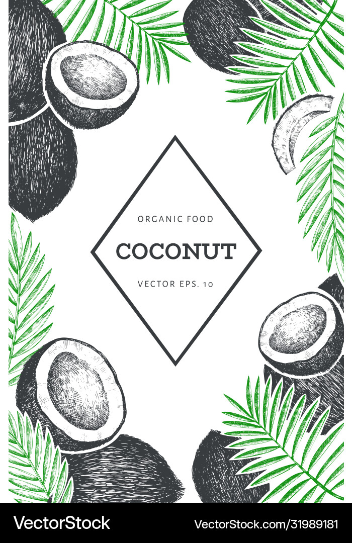 Coconut with palm leaves design template hand Vector Image