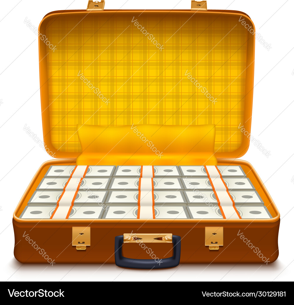 Full case money Royalty Free Vector Image - VectorStock