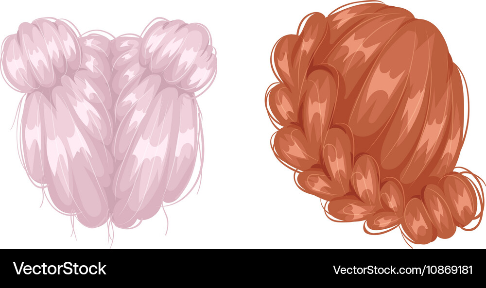 Woman hairstyle back view Royalty Free Vector Image