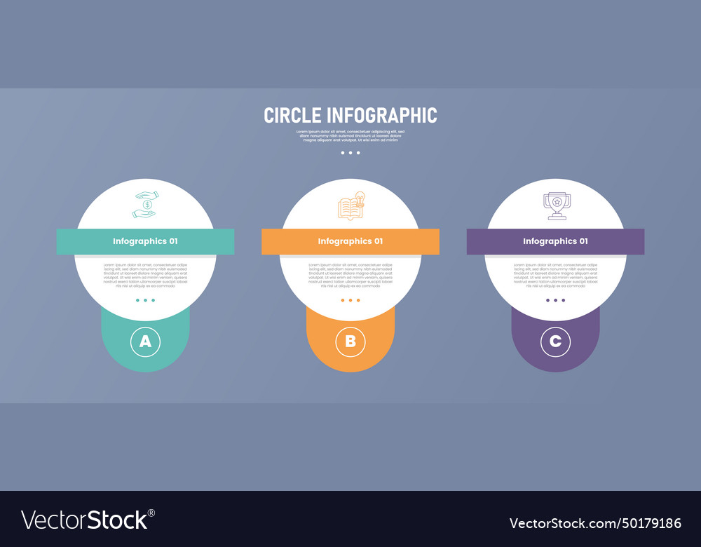 3 point circle infographic stage or step template Vector Image