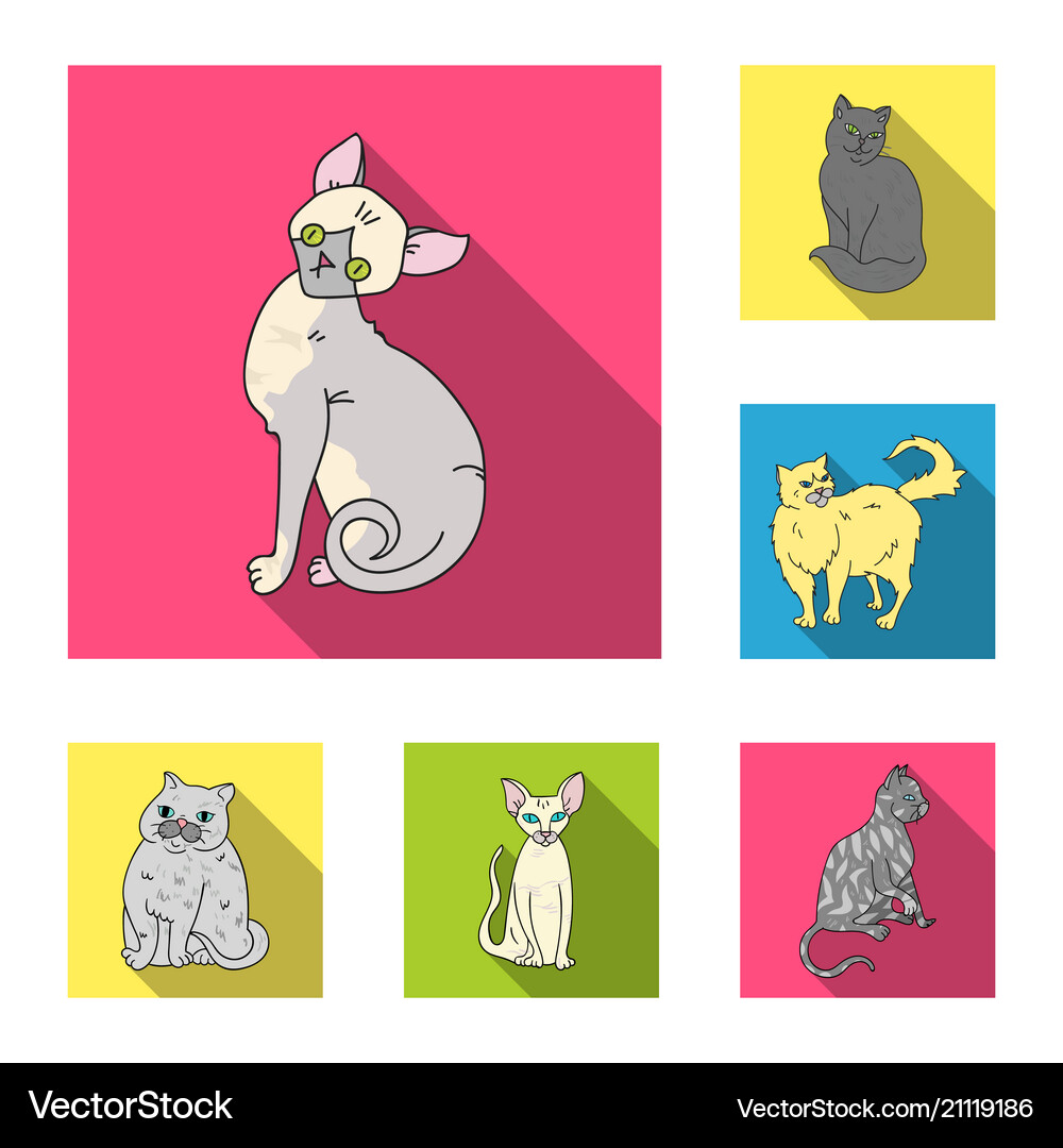 Breeds cats flat icons in set collection Vector Image
