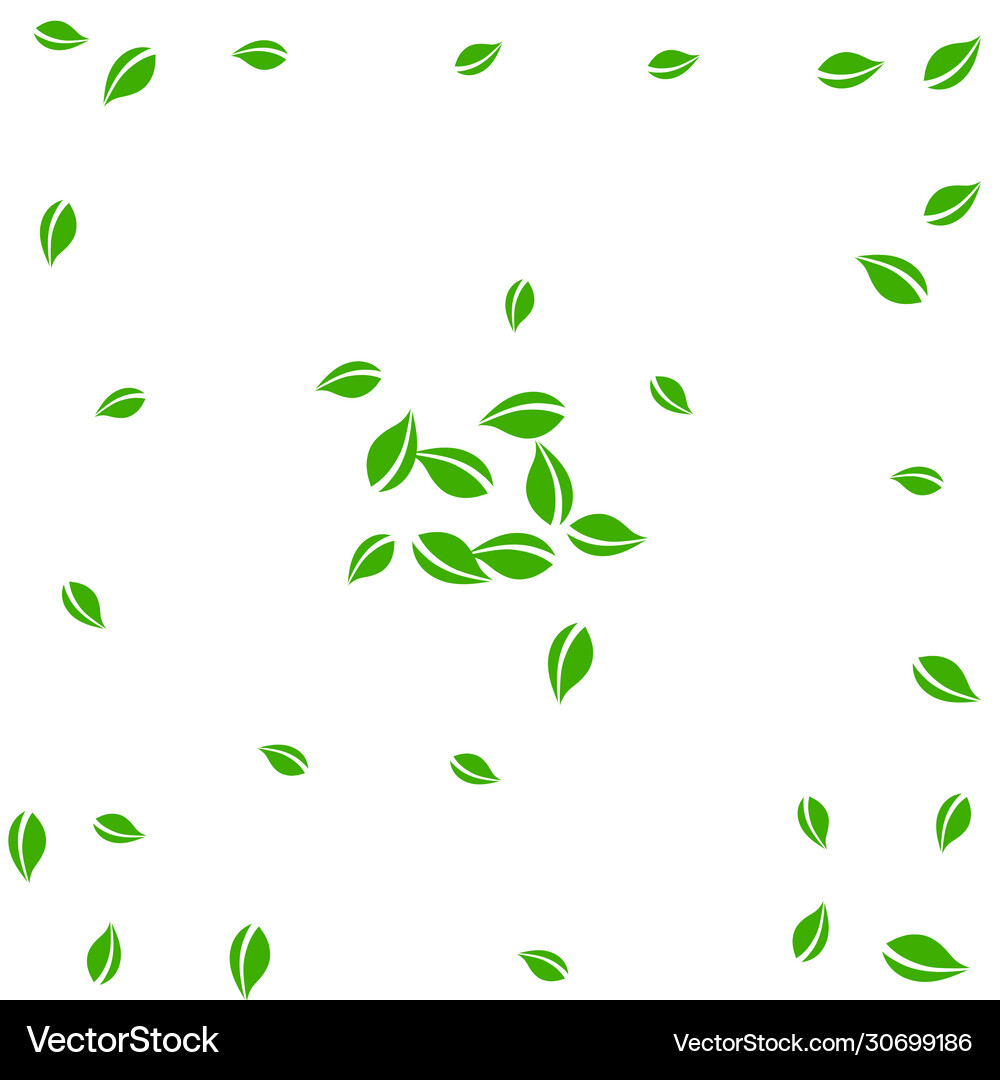 Falling green leaves fresh tea random leaves flyi Vector Image