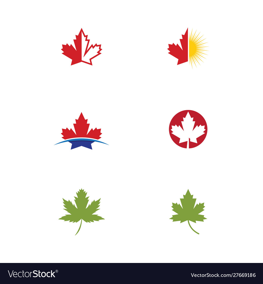 Maple leaf icon Royalty Free Vector Image - VectorStock