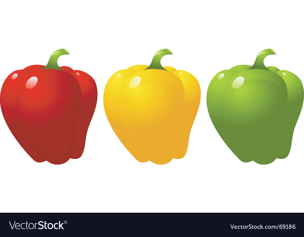 Pepper Royalty Free Vector Image - VectorStock