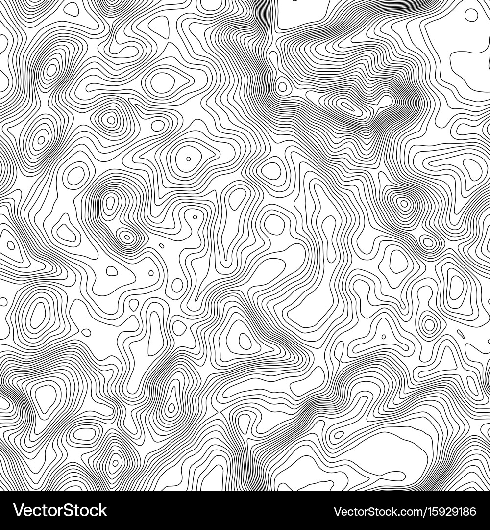 Seamless pattern topographic map background Vector Image