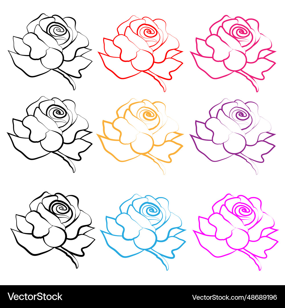Set of blooming roses with different lines Vector Image