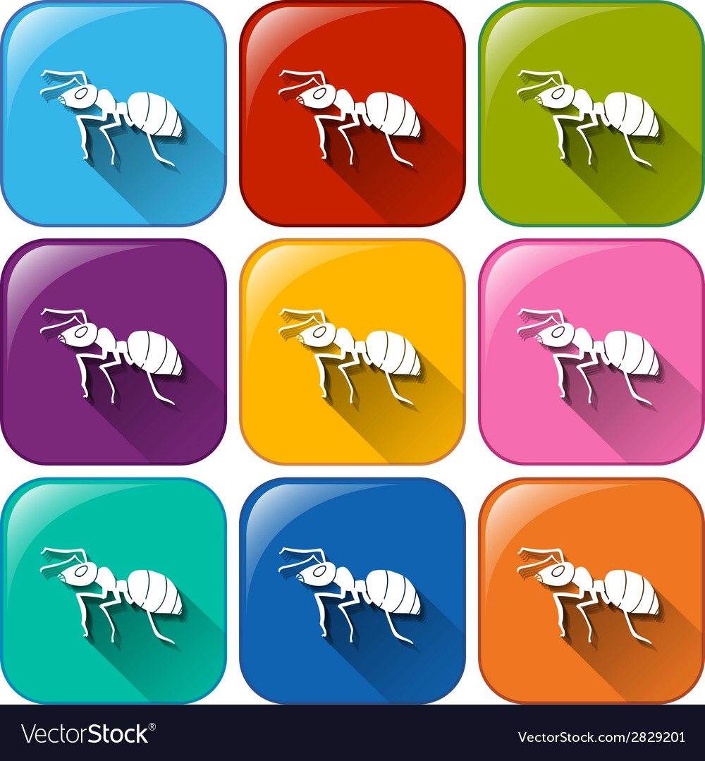 Ant icons Royalty Free Vector Image - VectorStock