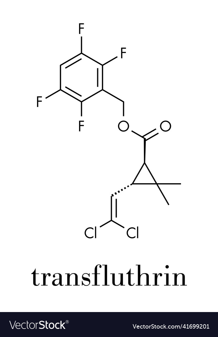 Transfluthrin insecticide molecule skeletal Vector Image
