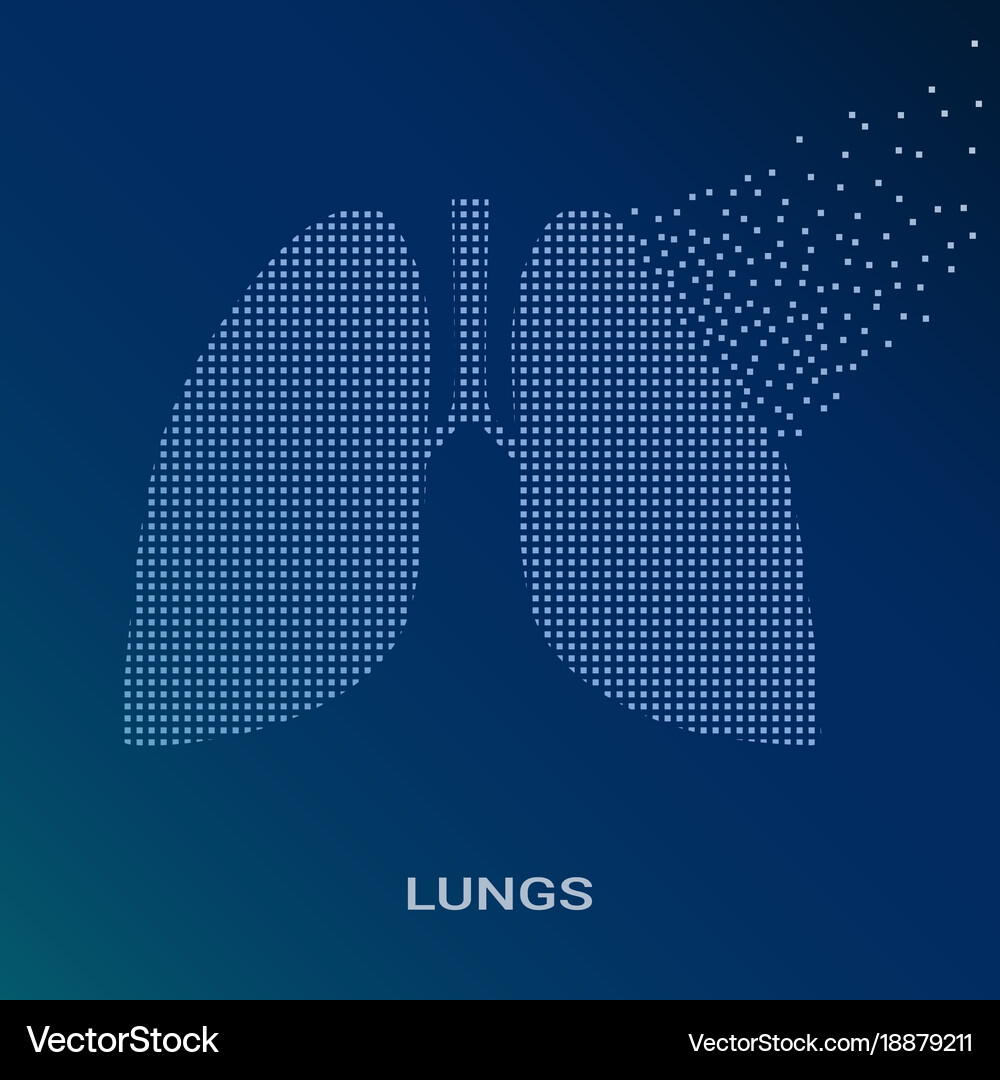 Abstract of human lungs Royalty Free Vector Image