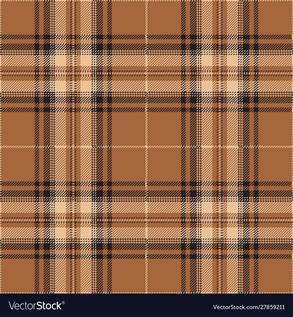 Brown and black tartan plaid scottish pattern Vector Image