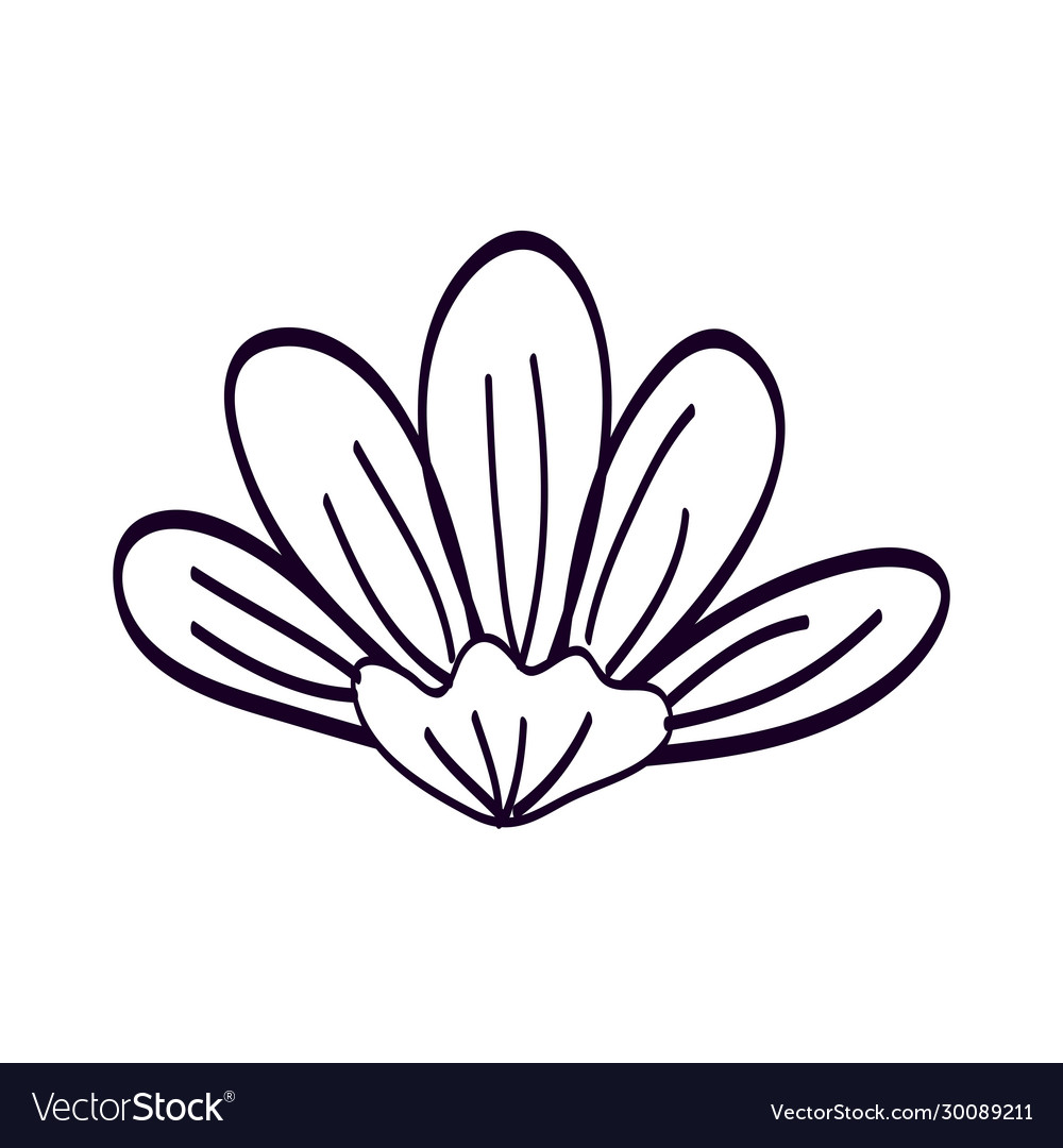 Cute flower natural line style icon Royalty Free Vector