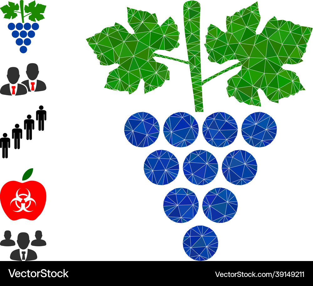 Grapes bunch triangle icon and other icons Vector Image
