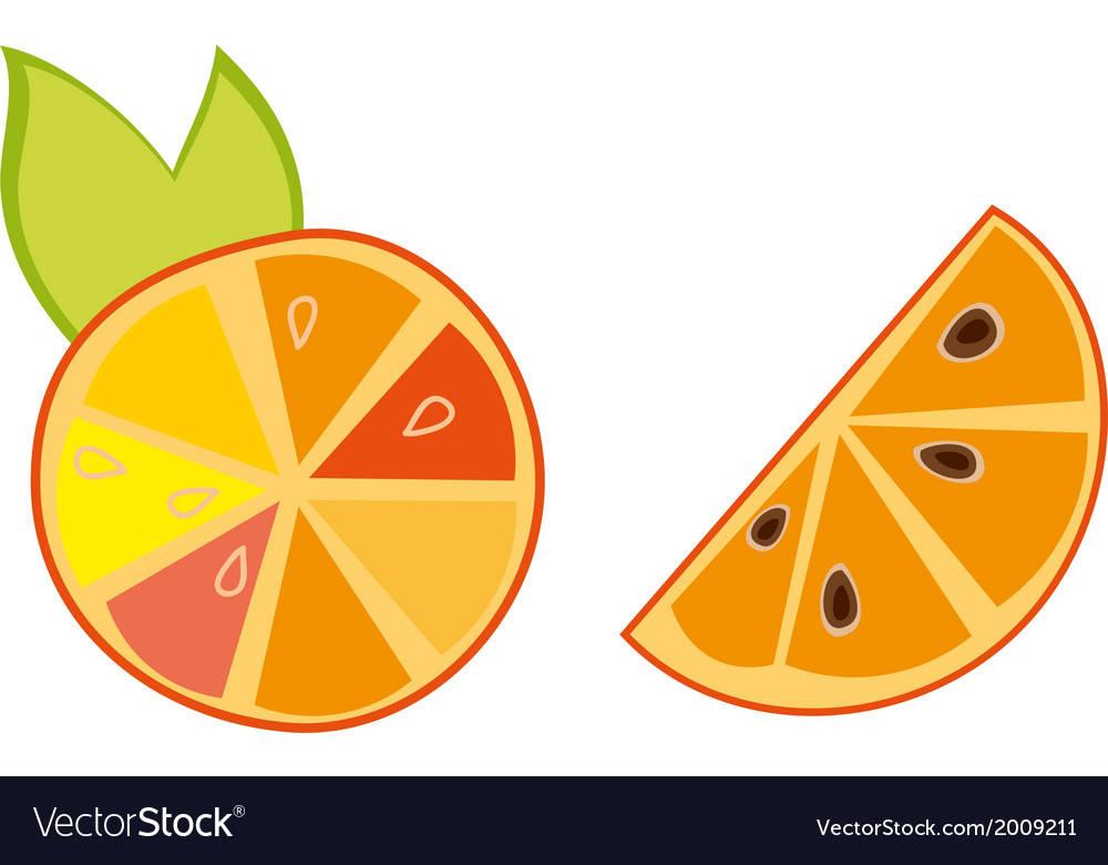 Orange Royalty Free Vector Image - VectorStock