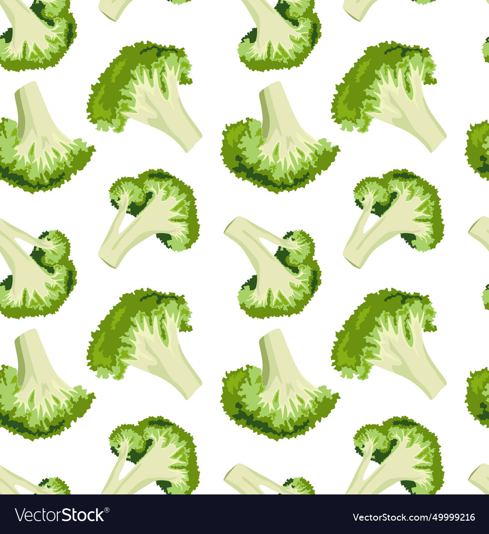 Broccoli halves from different angles Royalty Free Vector