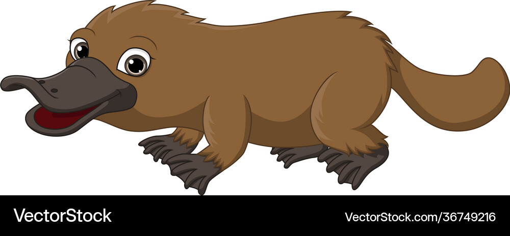Cartoon happy platypus isolated on white Vector Image