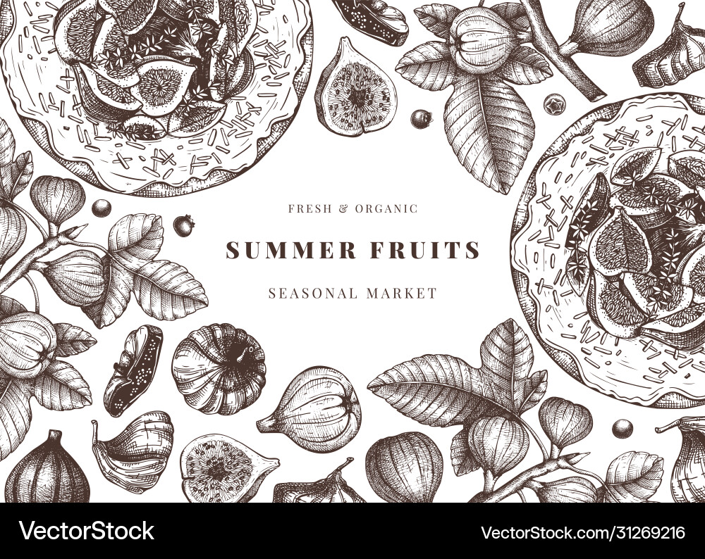 Design with hand drawn figs sketches vintage Vector Image