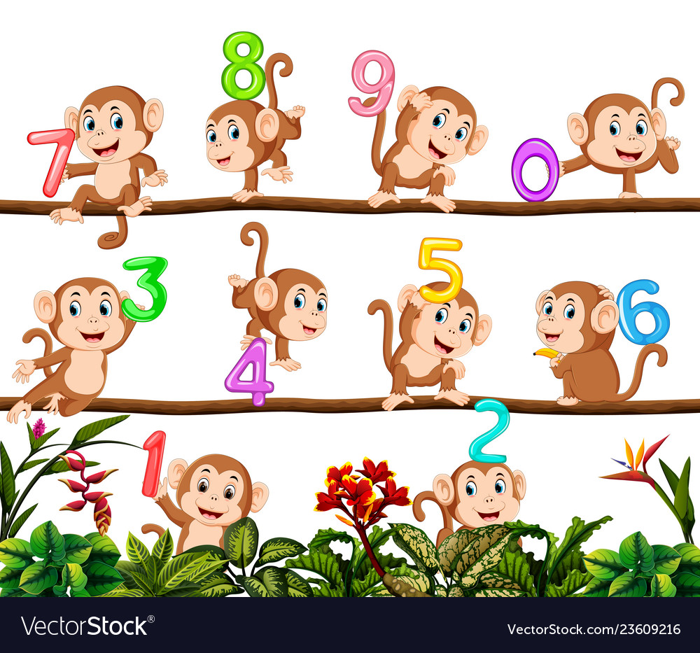 Lets count with monkey Royalty Free Vector Image