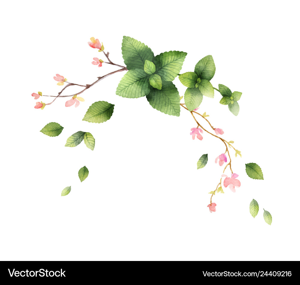 Watercolor hand painting Royalty Free Vector Image