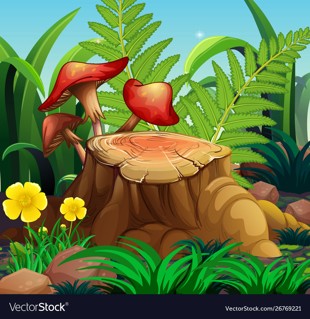 Nature scene with mushrooms and log Royalty Free Vector