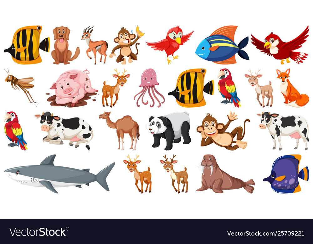 Set wild animal Royalty Free Vector Image - VectorStock