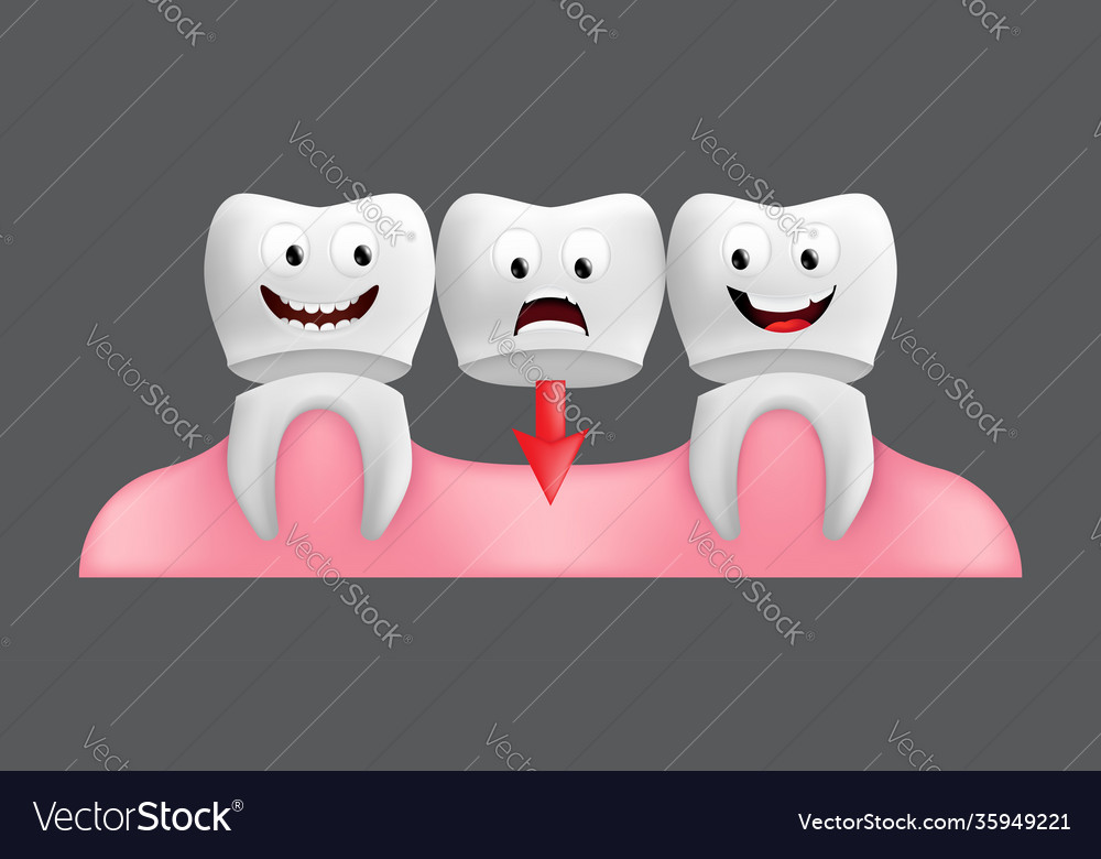 Smiling teeth with fixed bridgework cute Vector Image