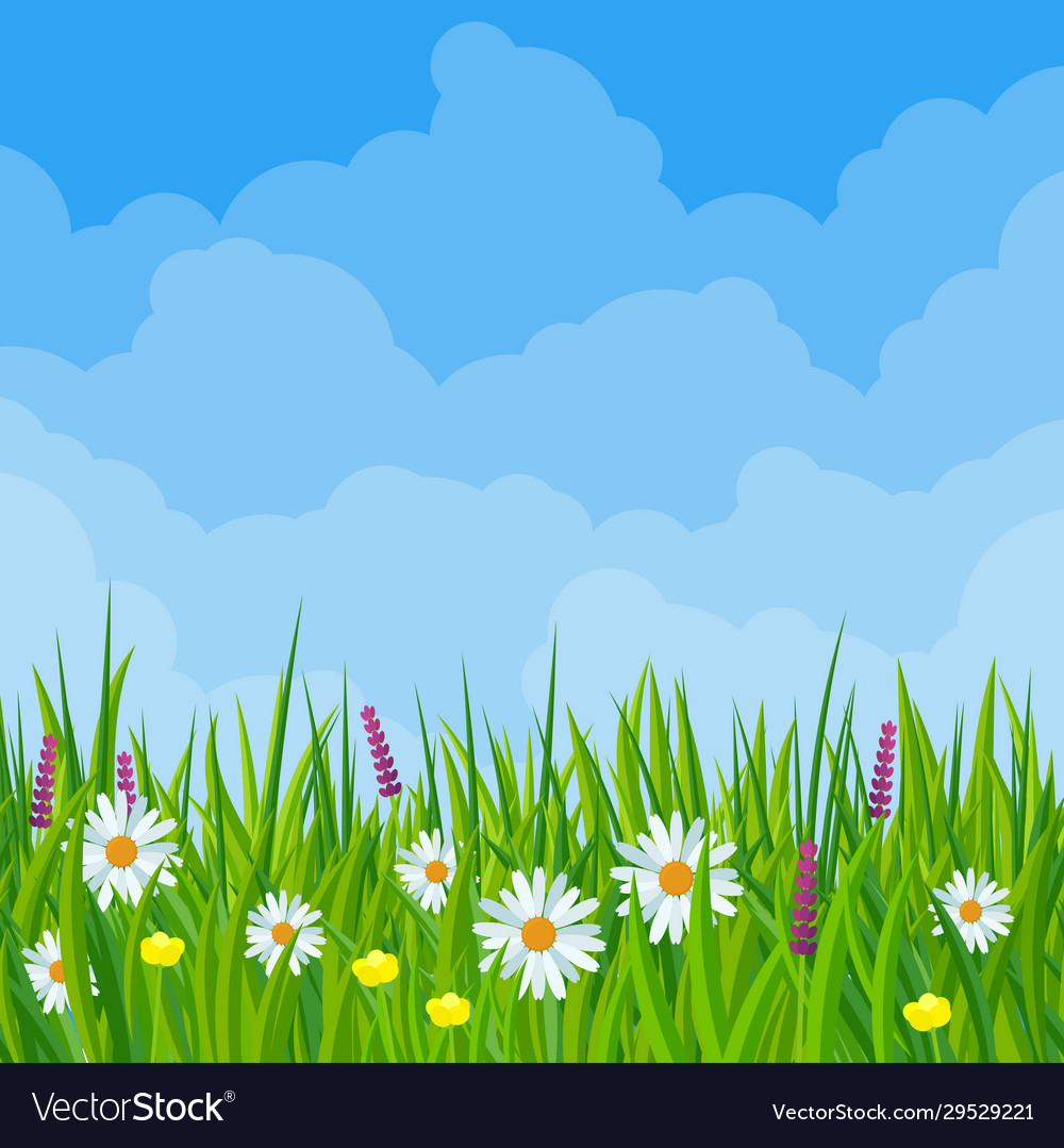 Spring meadow cloudscape Royalty Free Vector Image