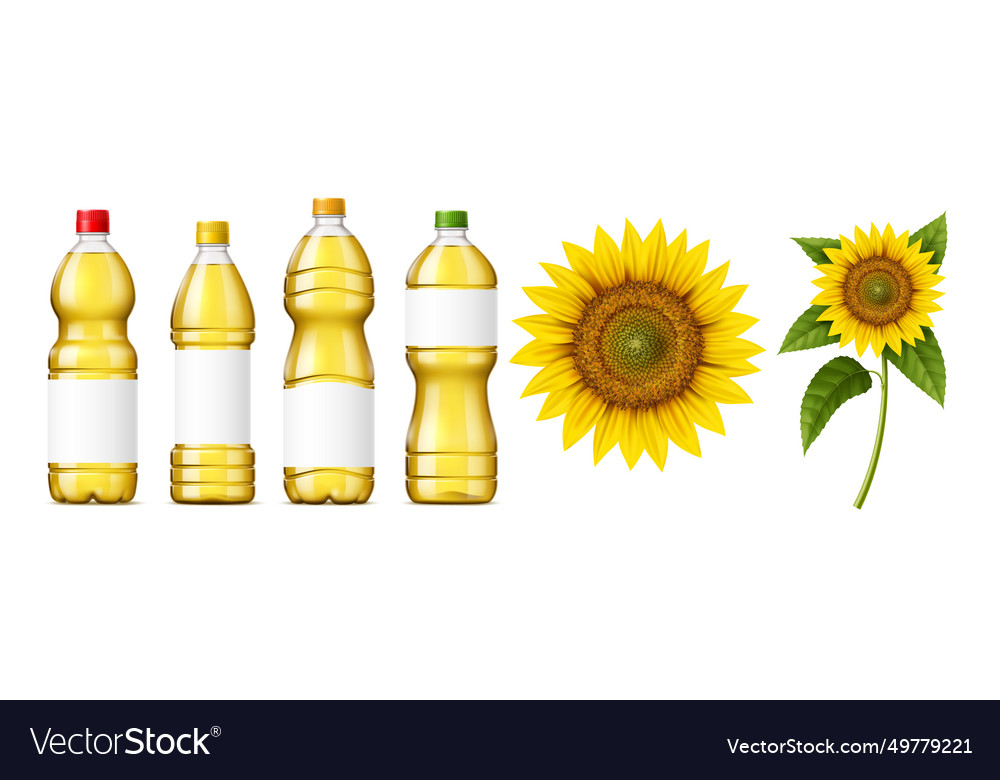 Sunflower oil isolated bottles and flowers Vector Image