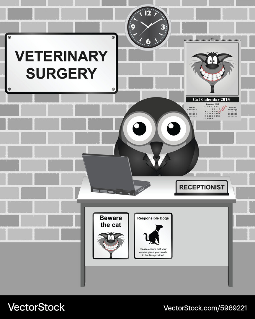 Veterinary surgery Royalty Free Vector Image - VectorStock