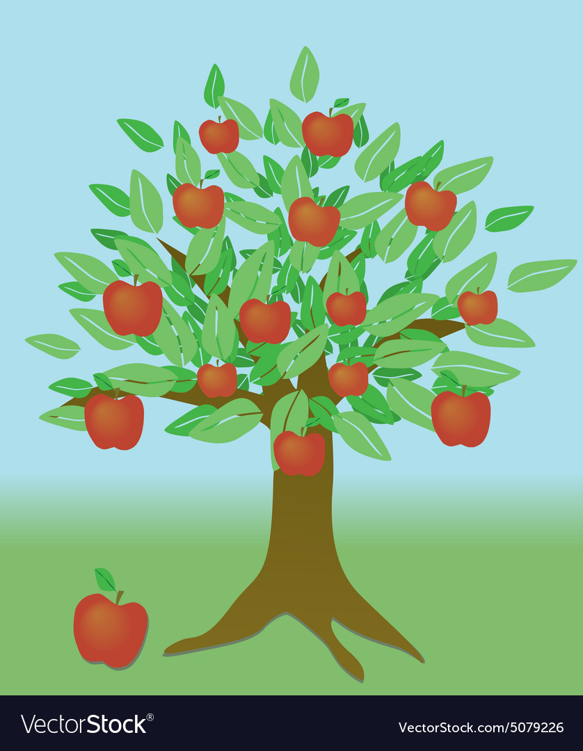Apple tree Royalty Free Vector Image - VectorStock