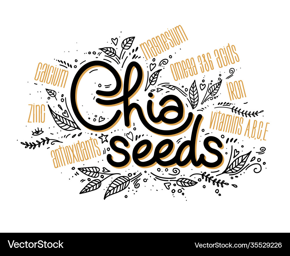 Chia seeds logo with beneficial features Vector Image