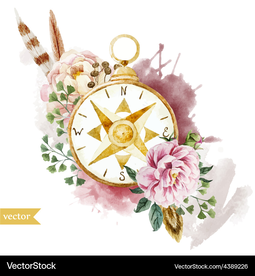 Watercolor compass Royalty Free Vector Image - VectorStock