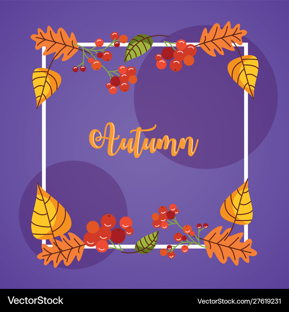 Autumn season leafs square frame icons Royalty Free Vector