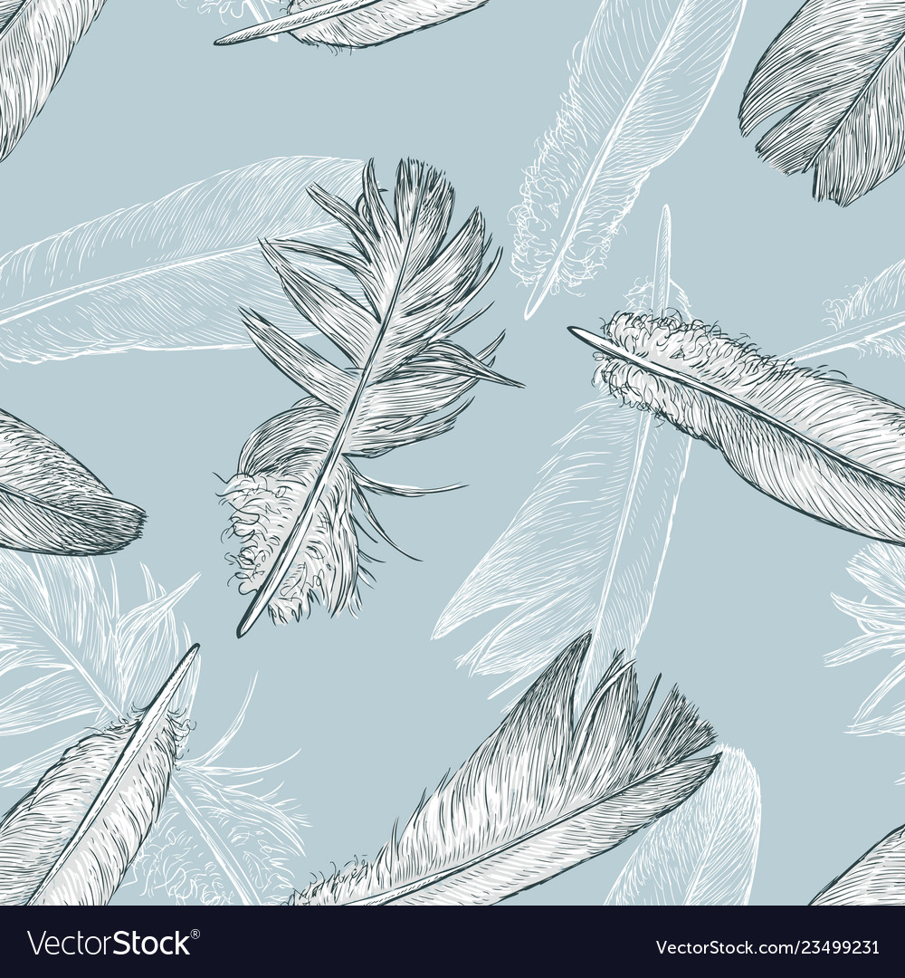Pattern birds feathers Royalty Free Vector Image