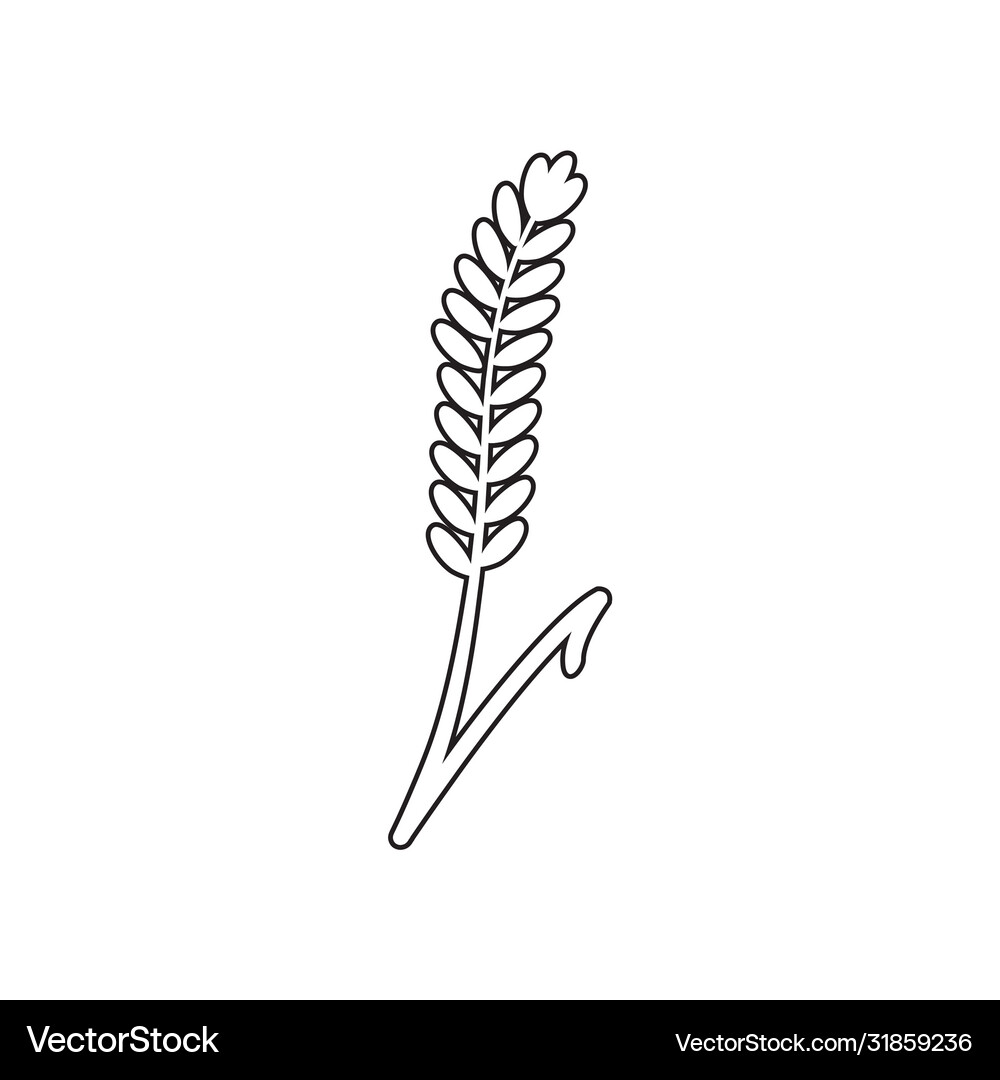 Lines icon rice plant symbol Royalty Free Vector Image