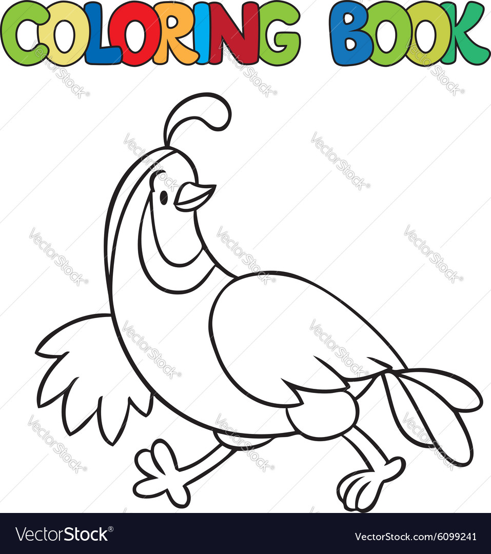 Coloring book of little quail Royalty Free Vector Image