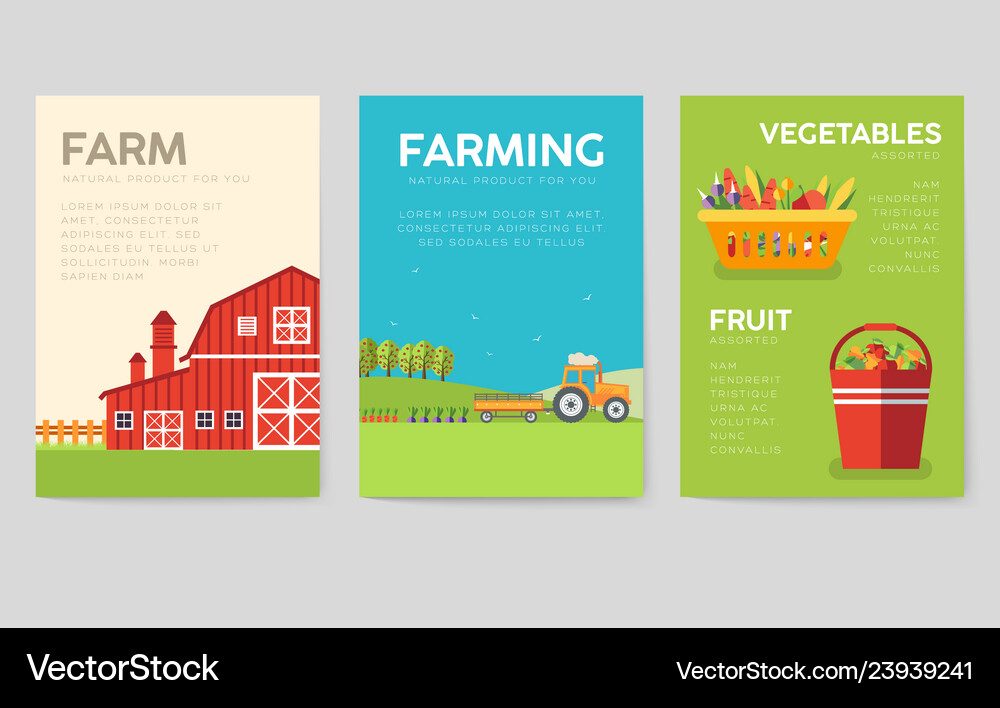 Farm information cards set nature template Vector Image