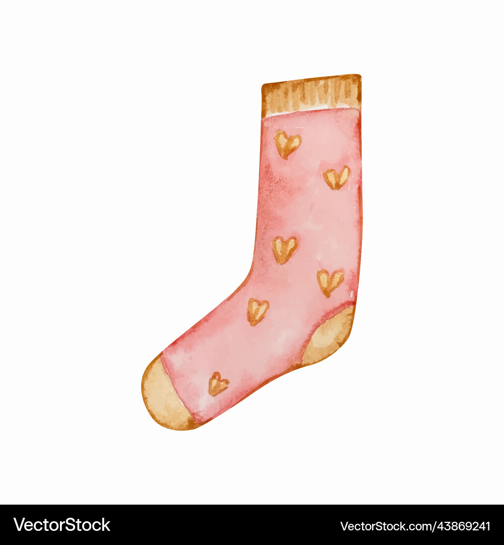 Watercolor of sock Royalty Free Vector Image - VectorStock