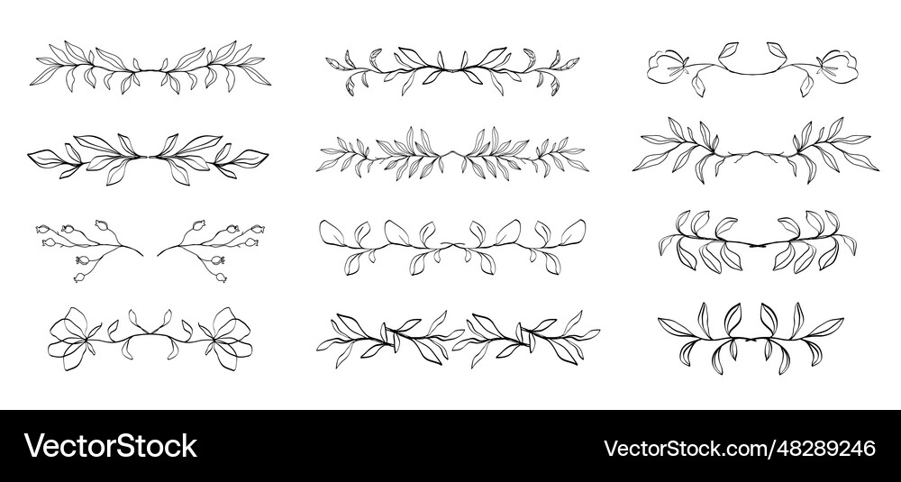 Floral dividers set hand drawn leaf borders decor Vector Image