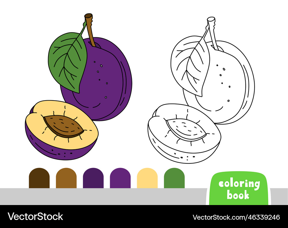 Plum Coloring Page for Kids Royalty Free Vector Image