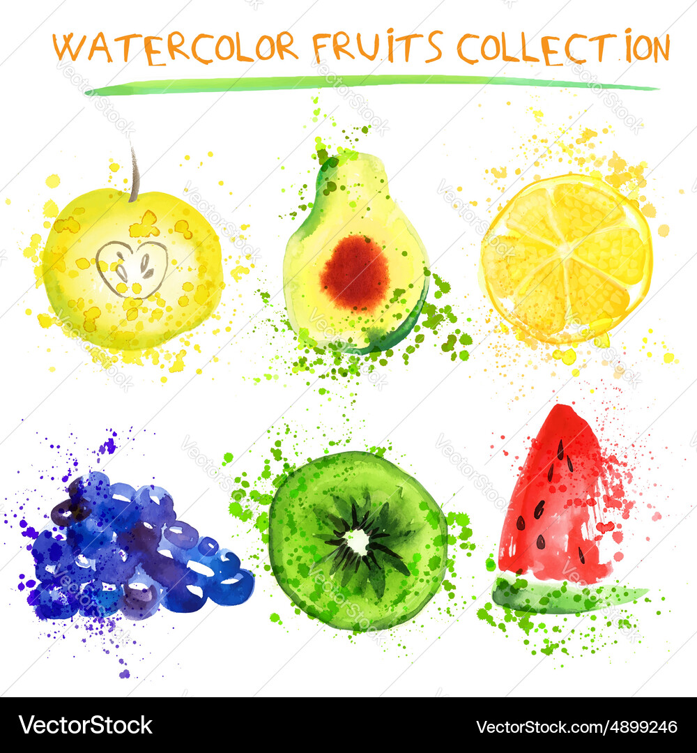 Watercolor fruit set Royalty Free Vector Image