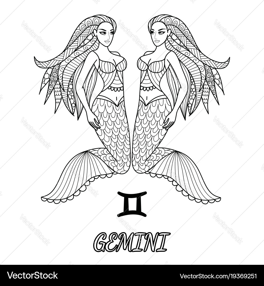 Gemini Royalty Free Vector Image - VectorStock
