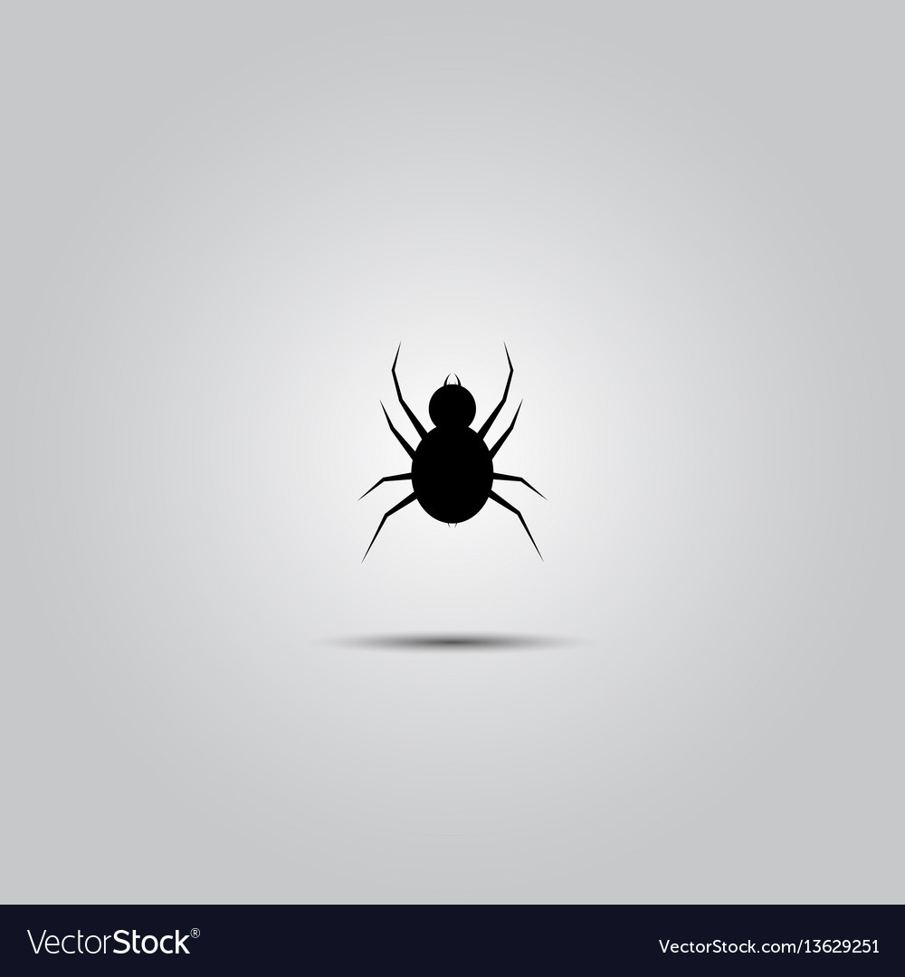 Spider icon flat Royalty Free Vector Image - VectorStock