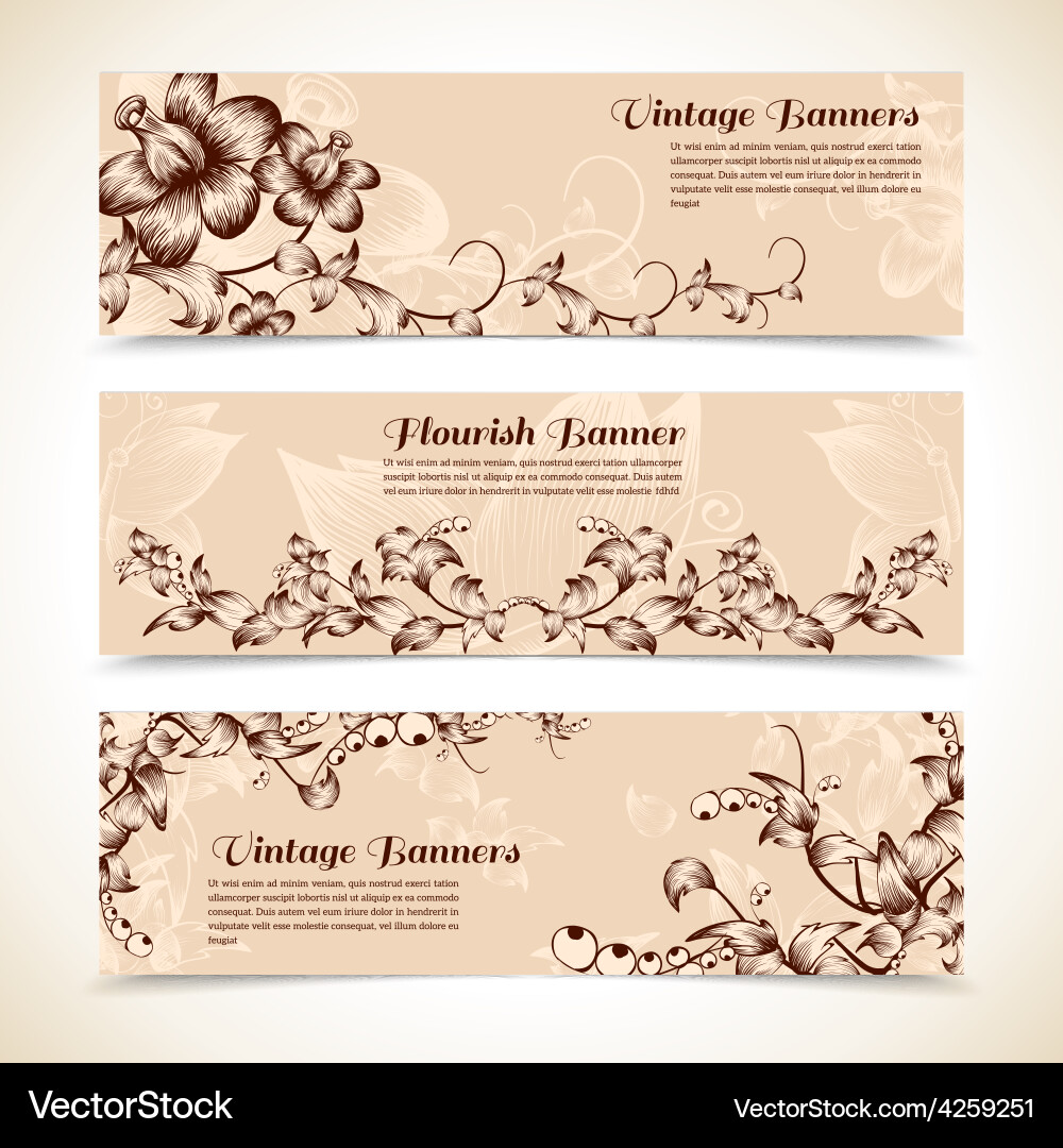 Vintage ornate flourish horizontal banner Vector Image