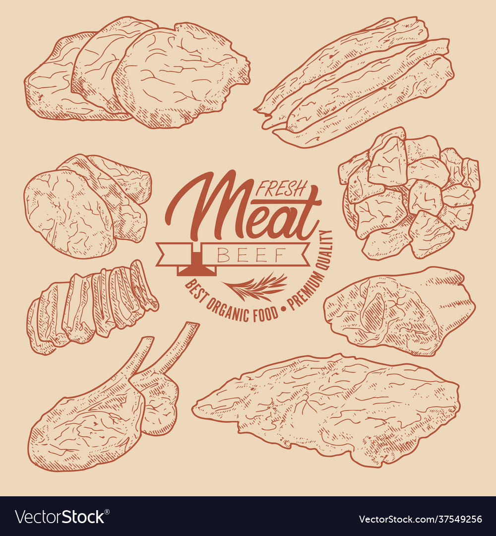 Beef meat set Royalty Free Vector Image - VectorStock