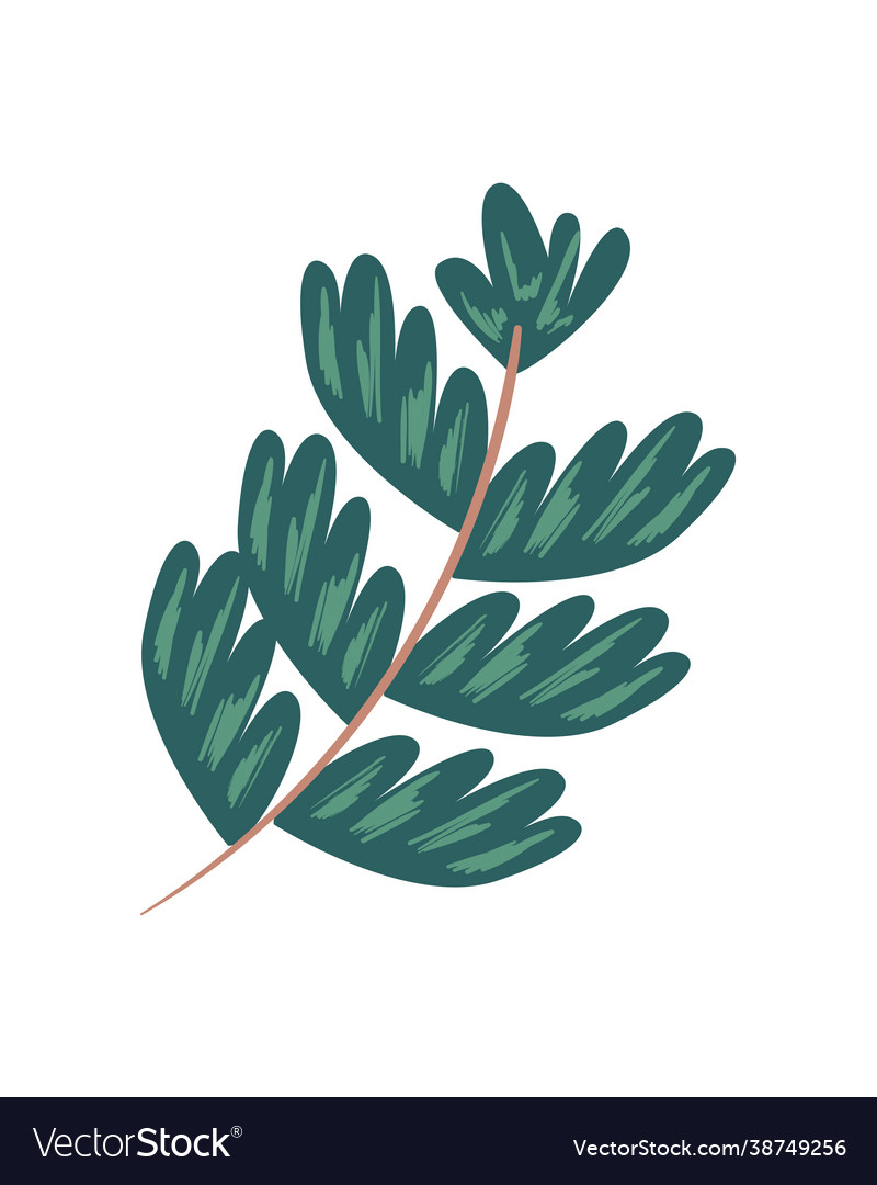 Pine leaf icon Royalty Free Vector Image - VectorStock